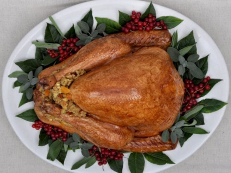 Pains plats du Moyen-Orient au dindon - Le Dindon du Québec