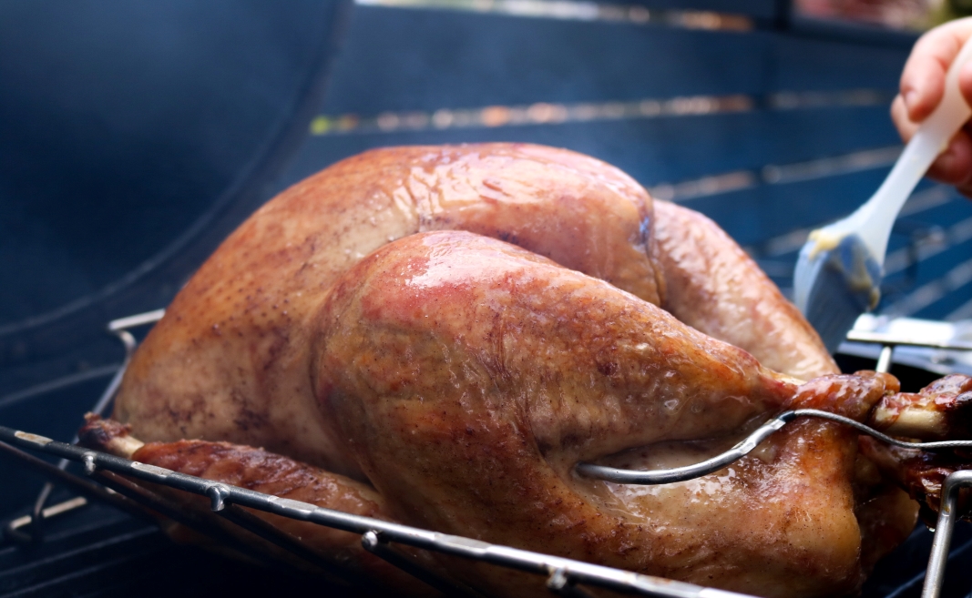 Dinde ou dindon ? - Le Dindon du Québec